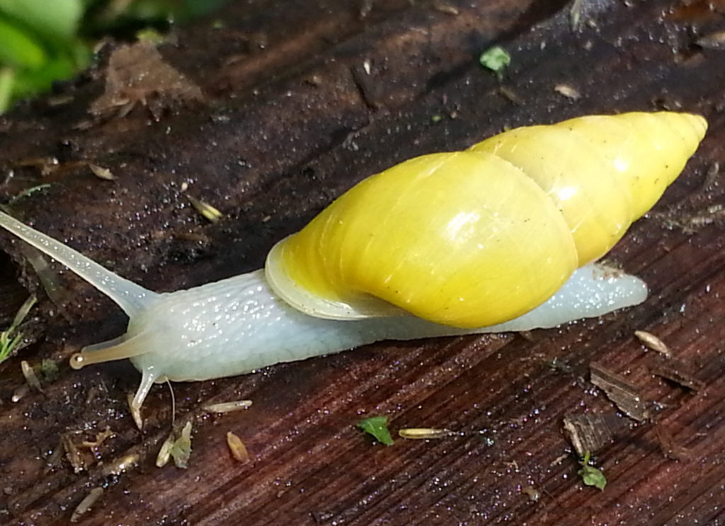 Gallery – Applied Hope